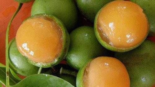 En Guanare: Niño murió atragantado con una pepa de mamón